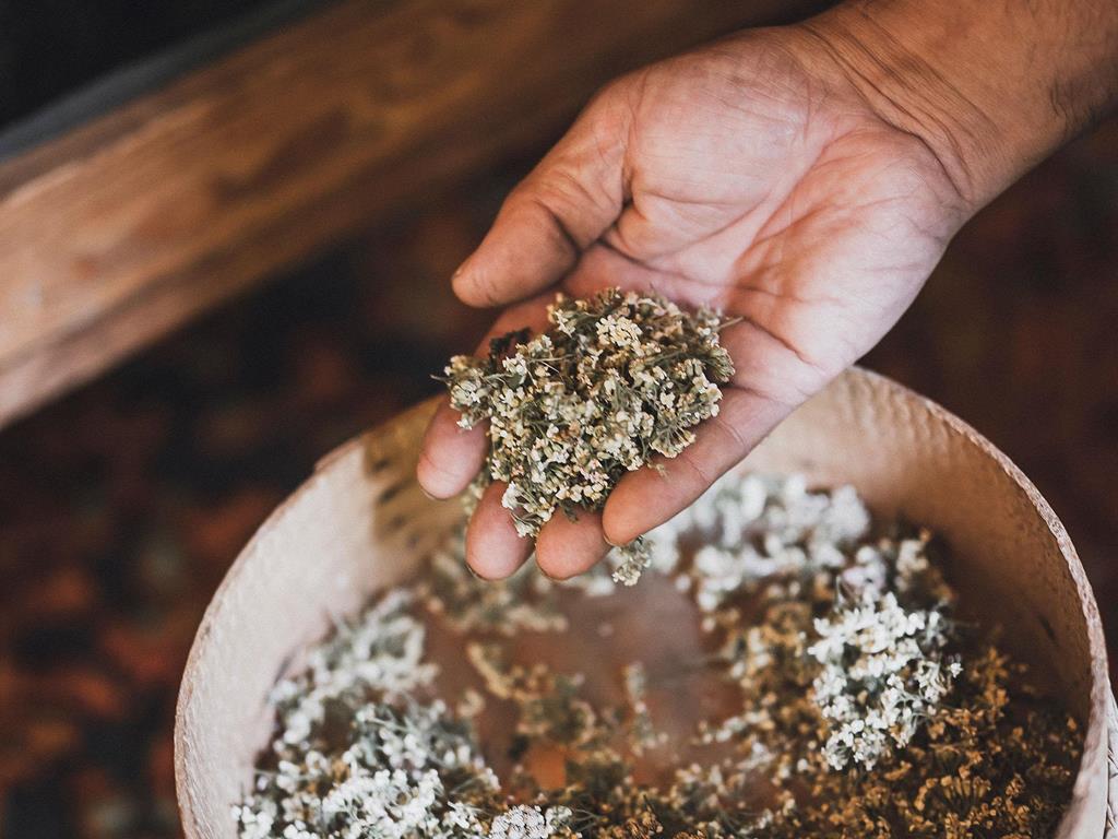 Geschäfte und Dienstleister im Ahrntal und Sand in Taufers - Südtirol