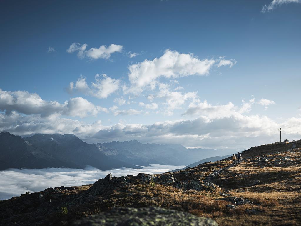 Biotop Wieser Werfa - Ferienregion Ahrntal